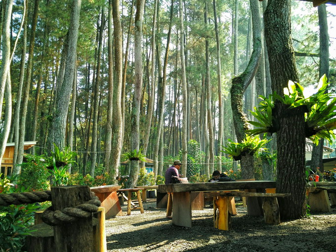 Menikmati Secangkir Kopi di Tengah Hutan | Smartmama